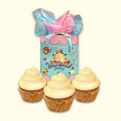 Cupcake Decorating Kit - Wonderland Bakery